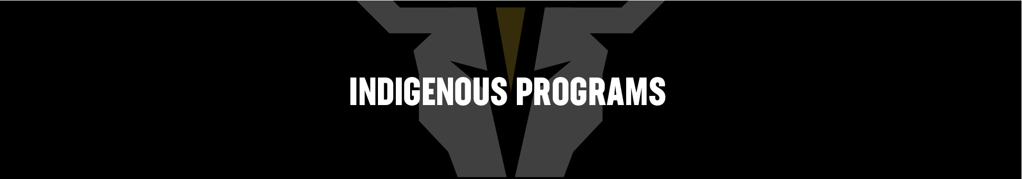 [current-page:title] | Macarthur FC