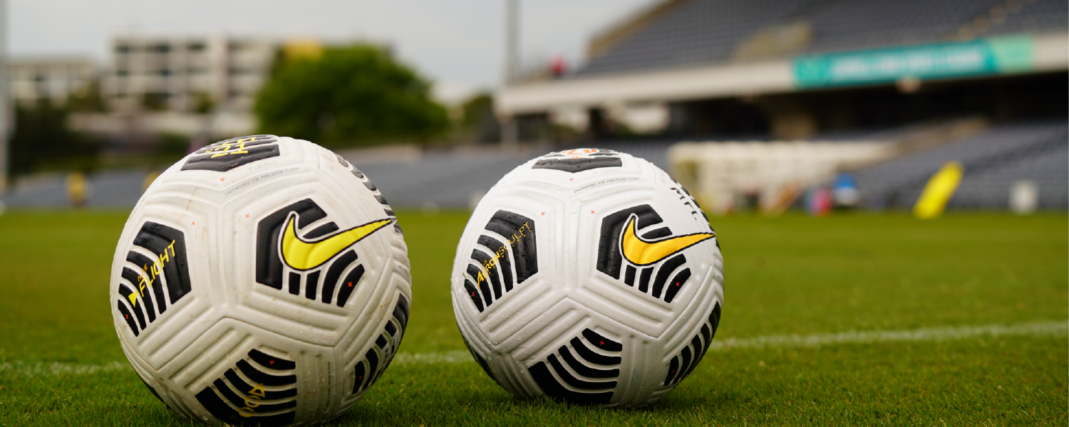 Game Day Guide: 2020 Fan Day - Macarthur FC