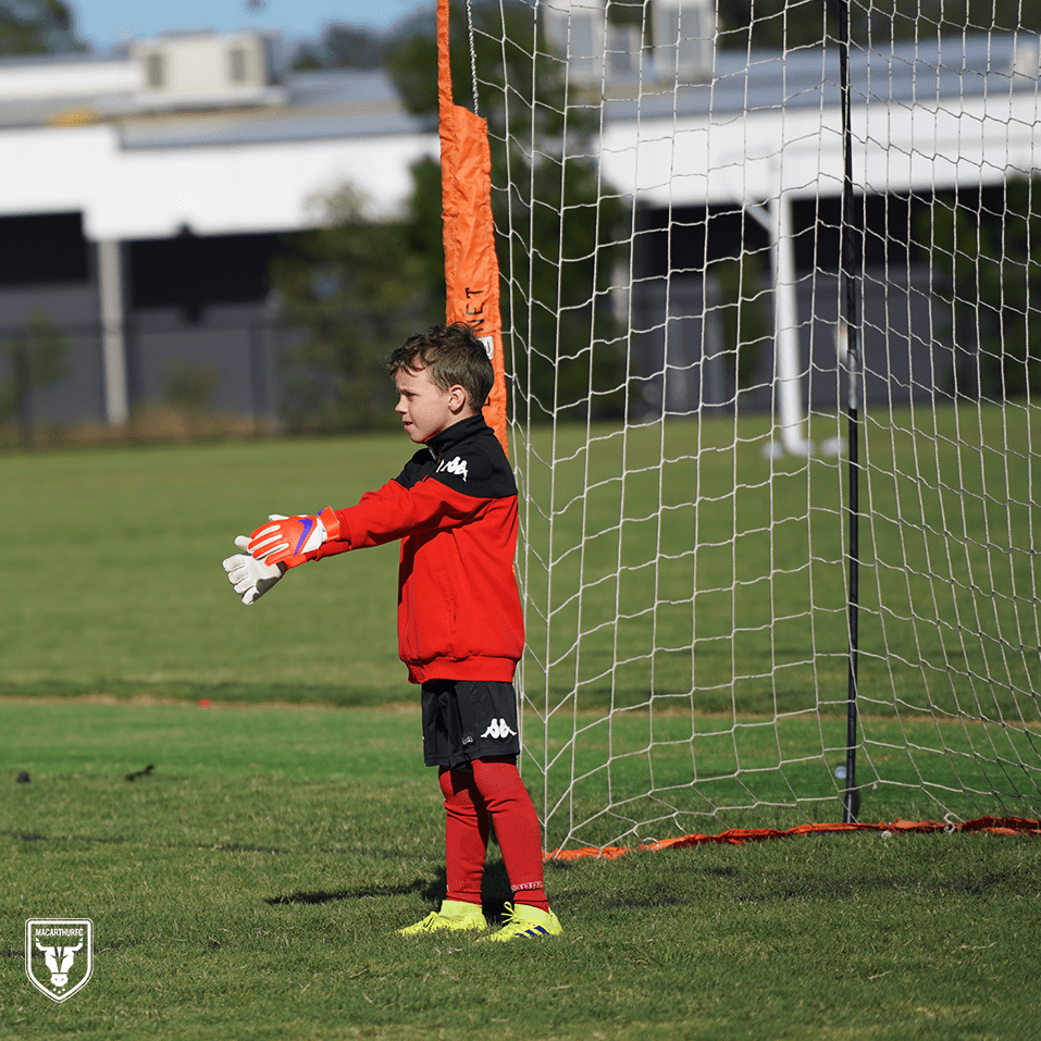Inaugural Bulls Cup - Macarthur FC