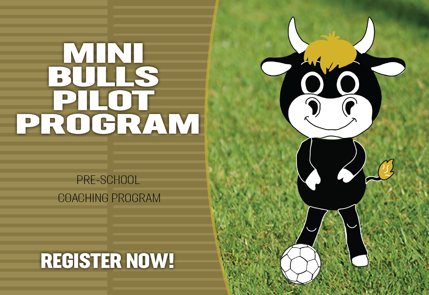 Macarthur FC Mini Bulls Pilot Program - Macarthur FC