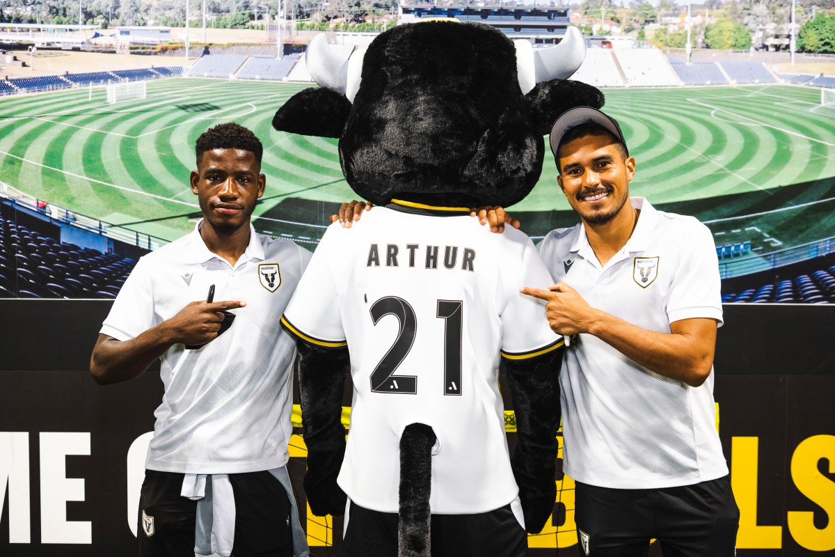 Macarthur FC unveils its newest recruit, ARTHUR THE BULL - Macarthur FC