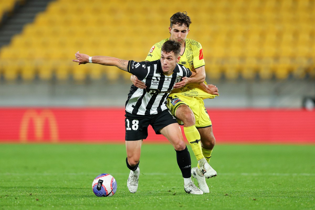 Macarthur FC | Official Macarthur FC Home Page