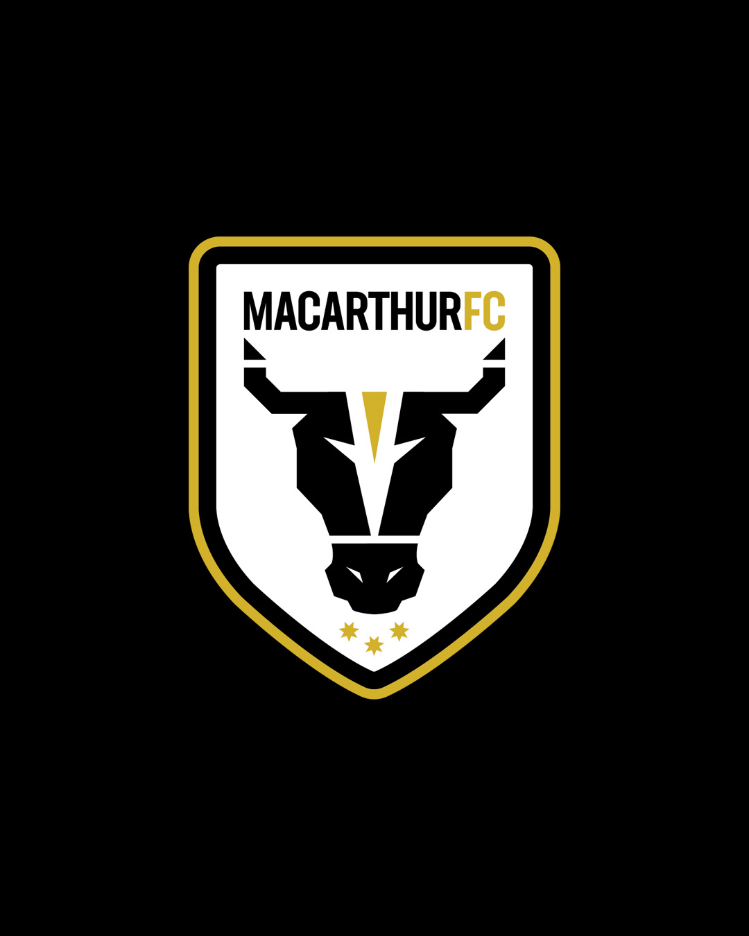CLUB STATEMENT: Player Movement and Future Vision - Macarthur FC