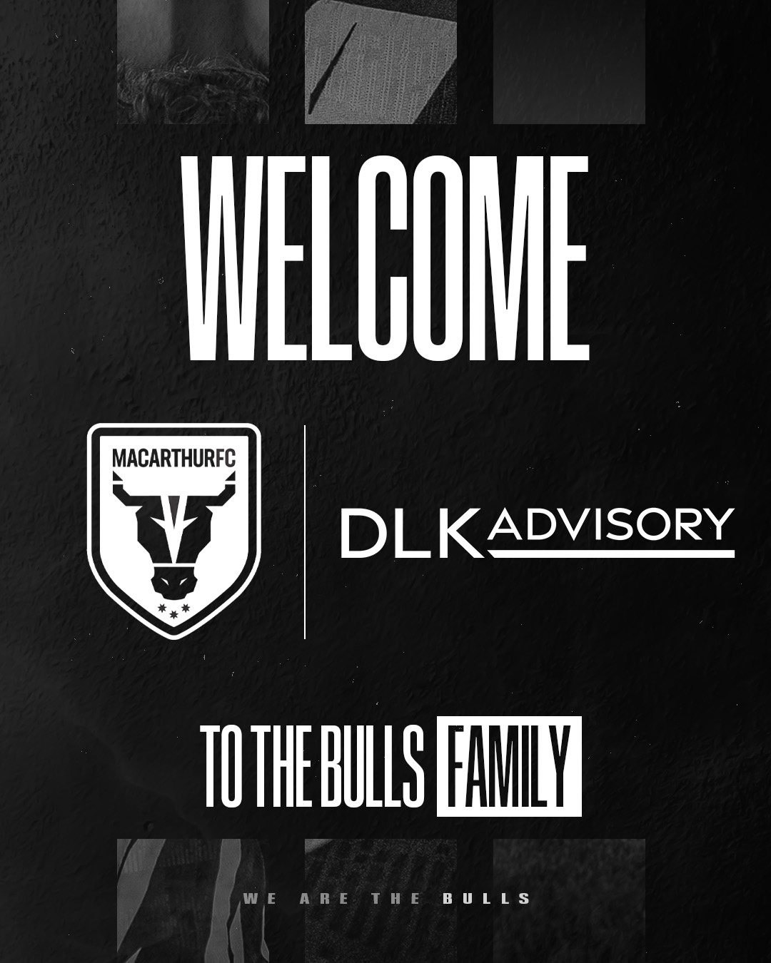 Macarthur Bulls Partner with DLK Advisory to Elevate Corporate Events ...